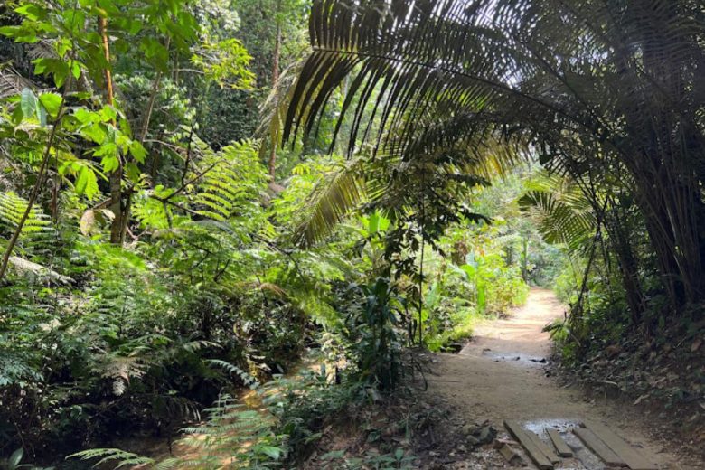 10 Best Things To Do in Bukit Gasing 2026 | A Complete Guide