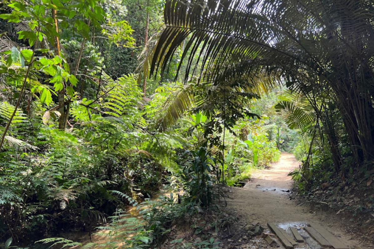 10 Best Things To Do in Bukit Gasing 2025 | A Complete Guide