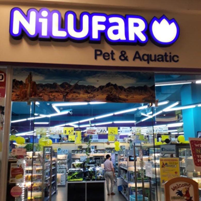 10 Best Aquarium Shop in PJ 2026 | Dive into a Water World