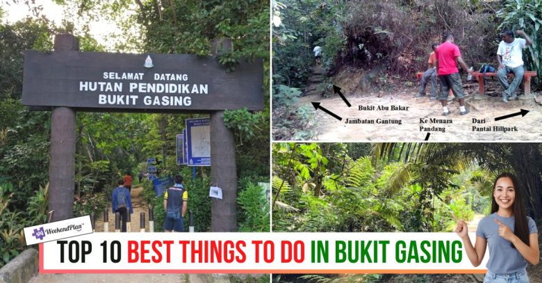 10 Best Things To Do in Bukit Gasing 2025 | A Complete Guide