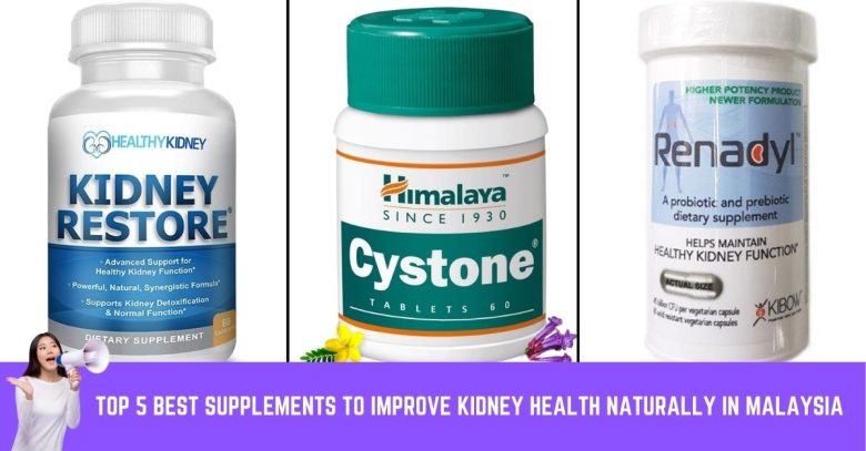Top 5 Best Supplements To Improve Kidney Health Naturally in Malaysia ...