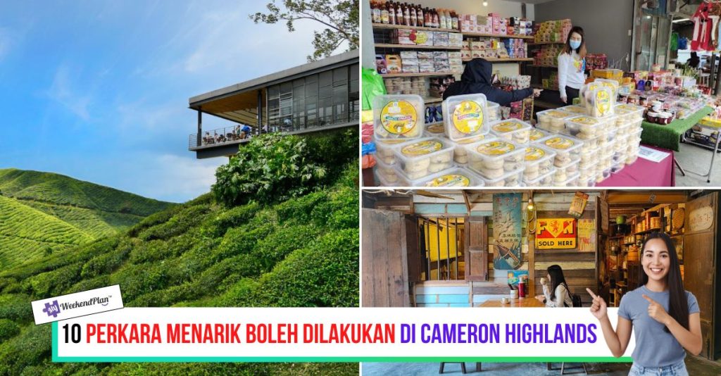 10 Perkara Menarik Boleh Dilakukan Di Cameron Highlands 2026 | Menarik ...
