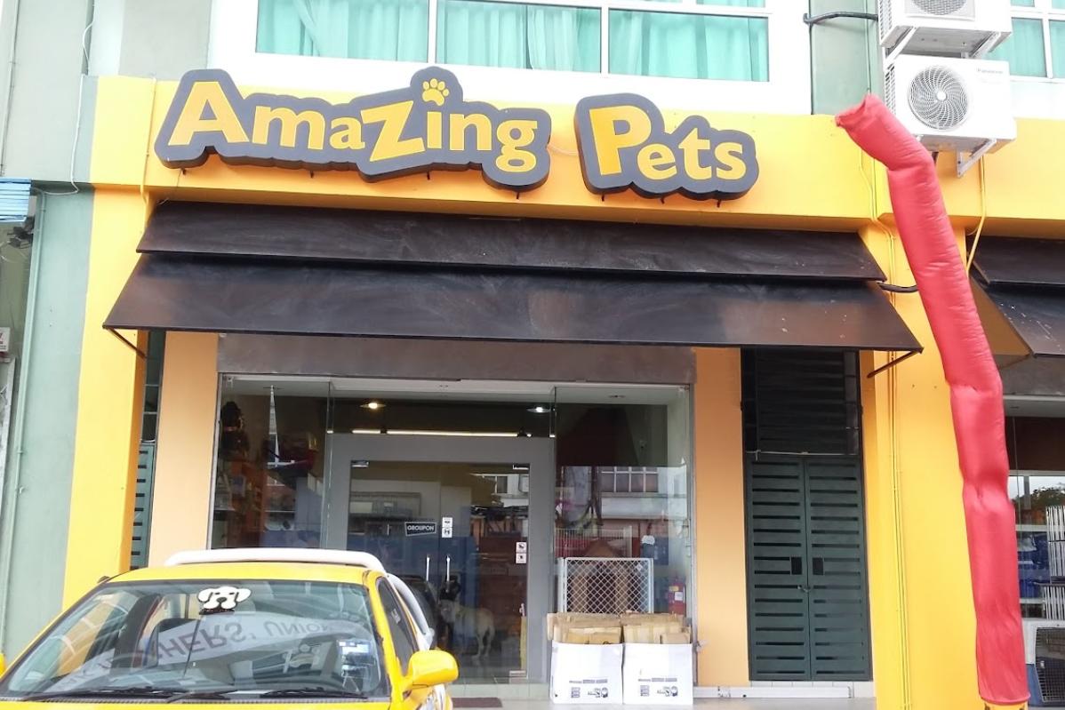 Top 10 Best Pet Shops in Kuching 2026 | Recommended
