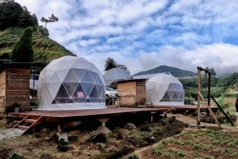 Top 8 Amazing Campsites in Cameron Highland 2025 | Recommended