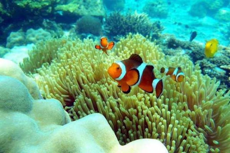 Top 10 Best Things To Do in Besar Island 2025 | Friends Trip