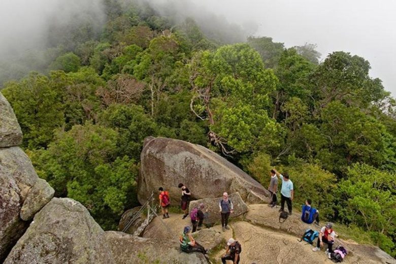 Top 10 Best Places For Jungle Trekking in Malaysia 2025 | Weekend Trip