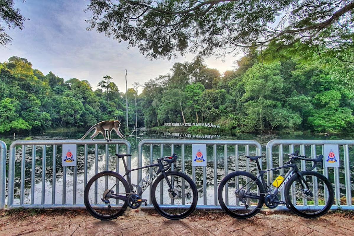 10 Best Parks in PJ 2025 | Must Go