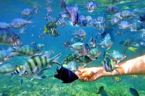 Top 10 Best Things To Do in Kapas Island 2026 | Weekend Trip