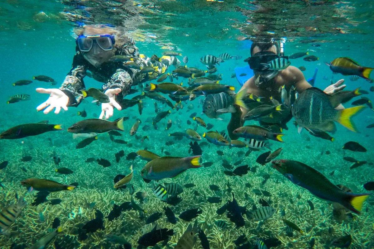 Top 10 Best Things To Do in Rawa Island 2025 | Holiday Time