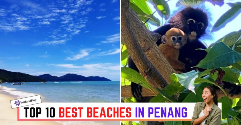 Top 10 Best Beaches in Penang 2026 | Friends Trip