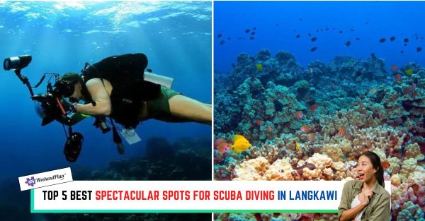 Top 10 Best Beaches in Johor 2025 | Must Go