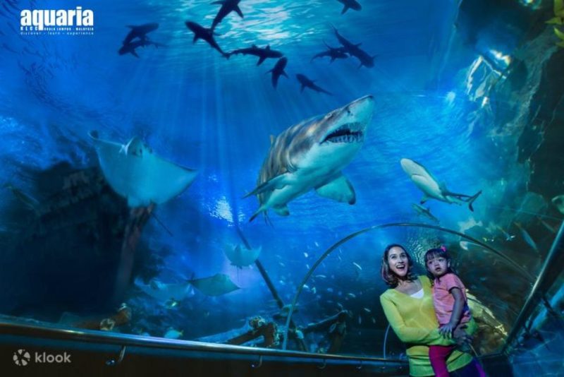 Top 10 Best Indoor Activities in Kuala Lumpur 2025 | Friends Trip