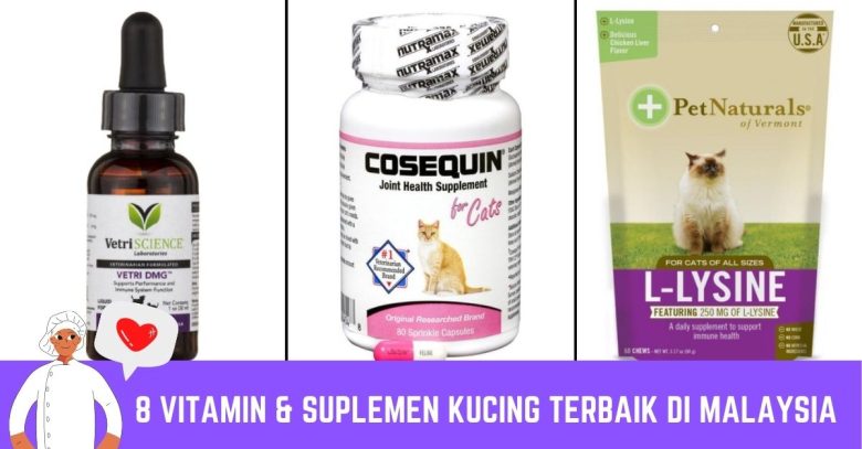 8 Vitamin & Suplemen Kucing Terbaik di Malaysia 2025 | Terbaik