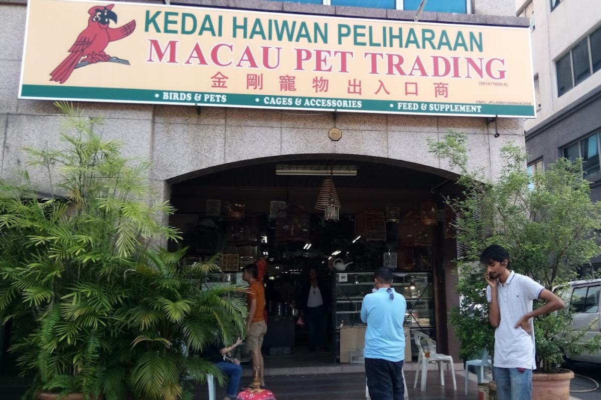 Top 10 Best Pet Shops in Kuala Lumpur 2025 | Quality Products and ...