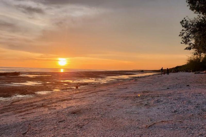 Top 10 Best Beaches Near Kuala Selangor 2026 | Visit Now