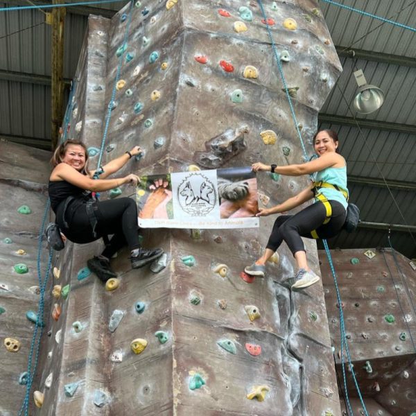 Top 10 Best Rock Climbing Places in Malaysia 2026 | Must Go