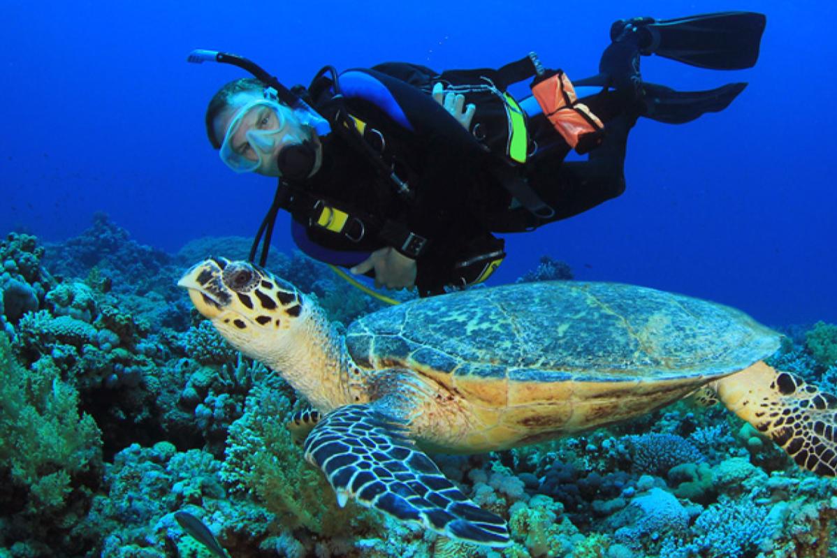Top 10 Best Water Activities in Malaysia 2026 | Friends Trip
