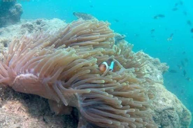 Top 10 Best Things To Do in Songsong Island 2025 | Weekend Trip