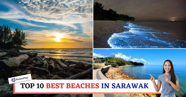 Top 10 Best ATV Rides in Malaysia 2026 | Friends Trip