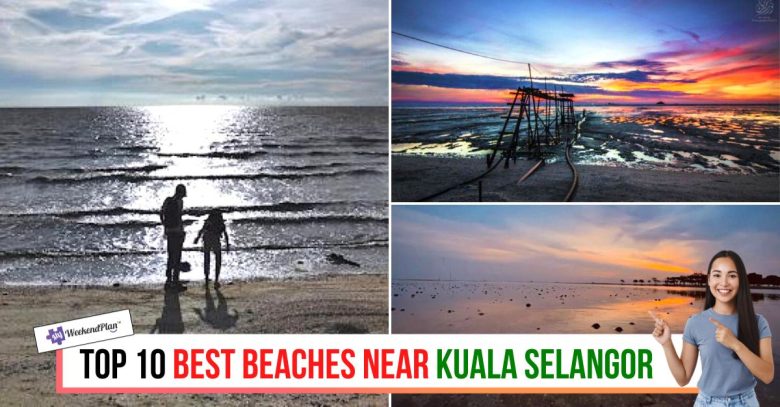 Top 10 Best Beaches Near Kuala Selangor 2025 | Visit Now