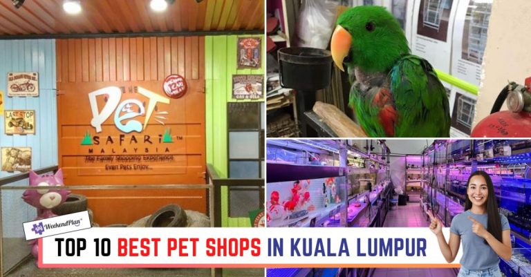 Top 10 Best Pet Shops in Kuala Lumpur 2026 | Quality Products and ...