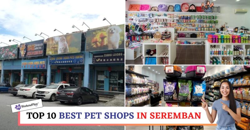 Top 10 Best Pet Shops in Seremban 2026 | Quality Products and Services ...