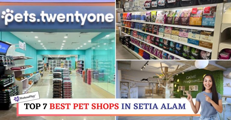 Top 7 Best Pet Shops in Setia Alam 2026 | Complete Pet Care Solutions