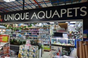Top 10 Best Pet Shops in Kuala Lumpur 2026 | Quality Products and ...