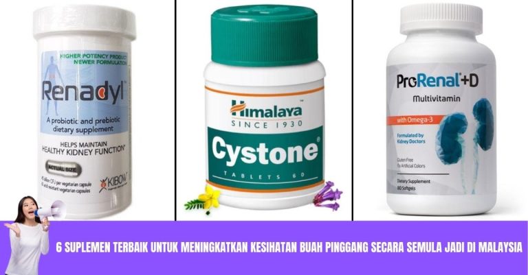 6 Suplemen Terbaik Untuk Meningkatkan Kesihatan Buah Pinggang Secara ...