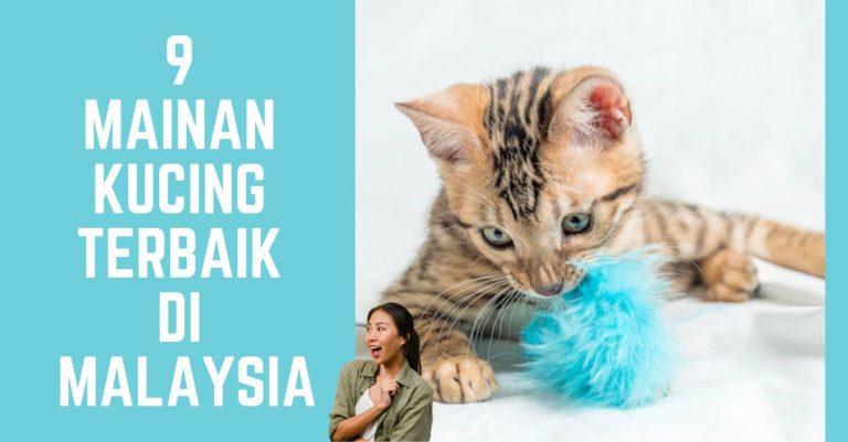 9 Mainan Kucing Terbaik di Malaysia 2026 | Berkualiti dan Menarik