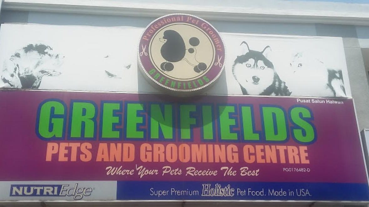 Top 10 Best Pet Grooming Shops in Penang | Latest 2026