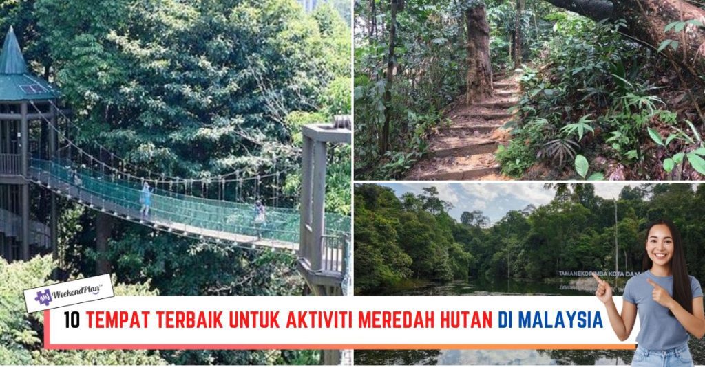 10 Tempat Terbaik Untuk Aktiviti Meredah Hutan di Malaysia 2026 ...