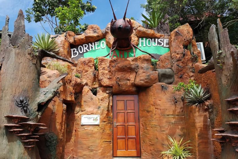 Top 10 Best Things To Do in Tuaran 2025 | Tuaran’s must-do