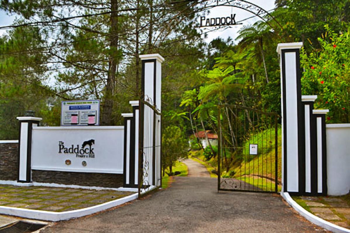 Top 10 Best Things to Do in Raub, Pahang 2025 | Short Trip